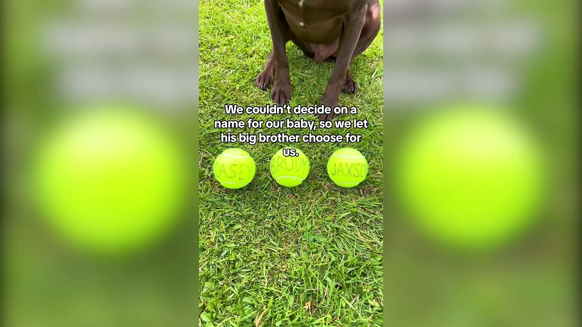 'We let our dog choose our baby's name