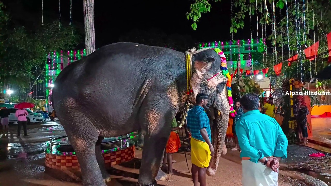 Koottalumoodu bhadreswari Amman temple festival 2nd day Amman bavani ...