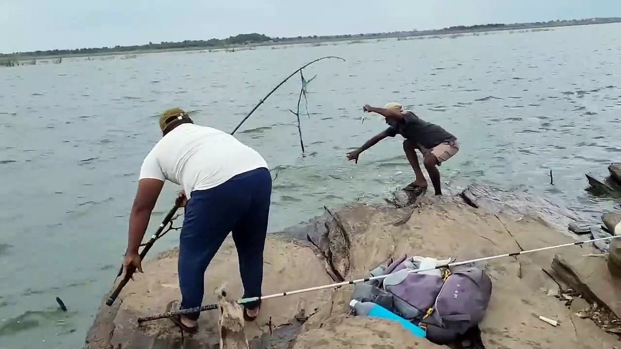 Incredible Big fish Hunting & Catching by Professional Fisherman ...