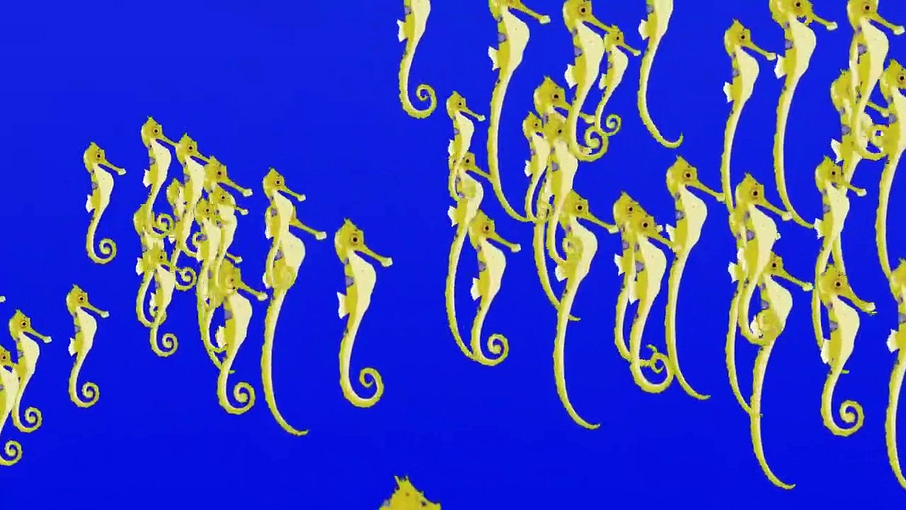 Every Creature Power Transformation Part 11 - video Dailymotion