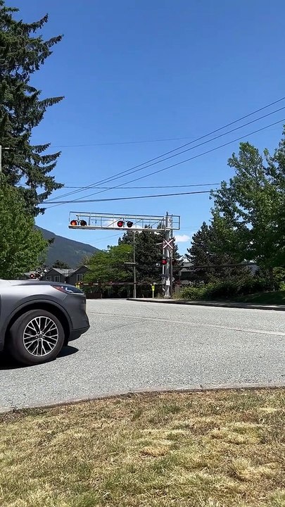 Celebrity Trains, They're Just Like Us - video Dailymotion