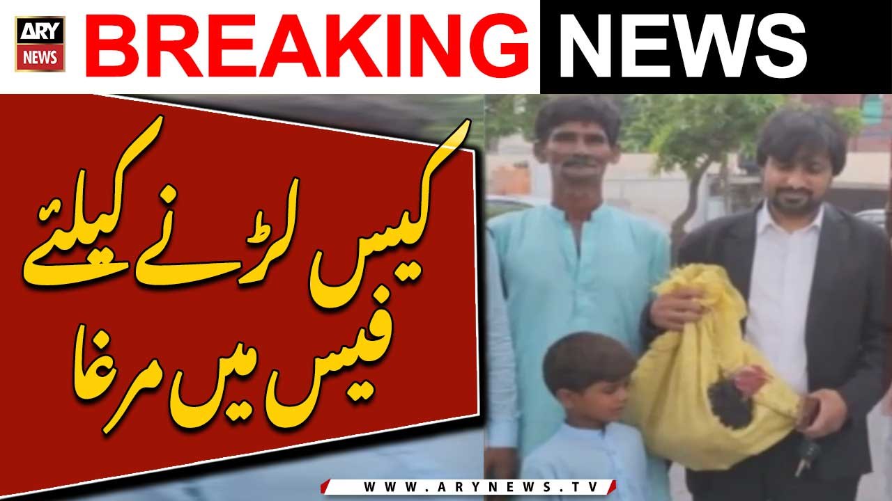 Video: Innocent boy hands over pet rooster to lawyer for uncle’s bail ...