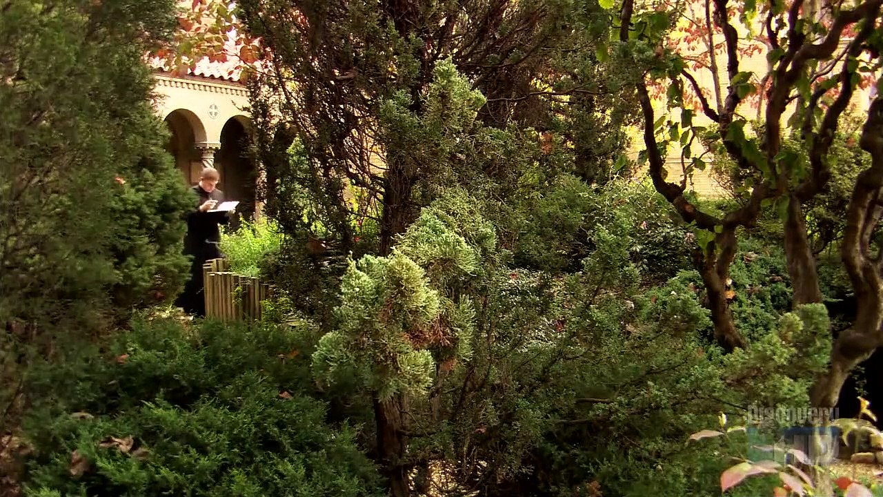 100 Greatest Discoveries By Bill Nye S1E8 Genetics - video Dailymotion