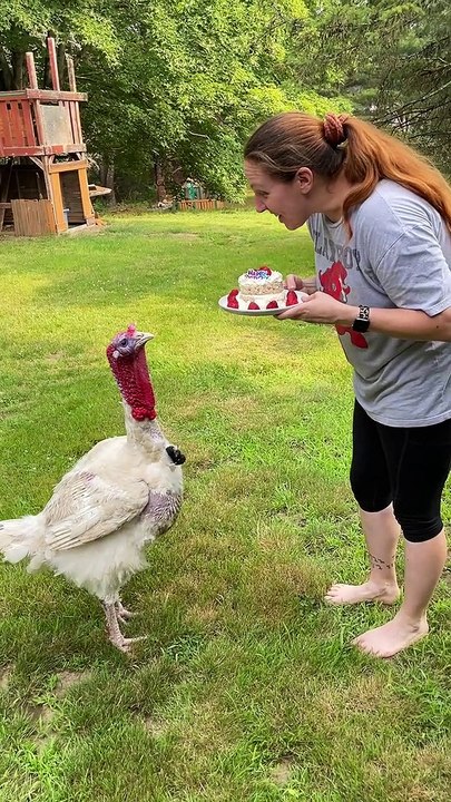 Frito The Turkey Gets Special Cake for His First Birthday - video ...