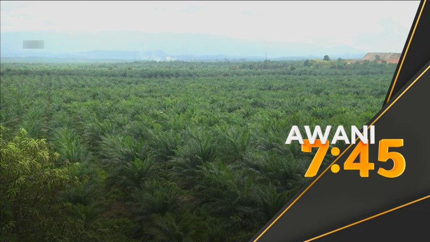Malaysia, Indonesia contoh pengeluar sawit mampan | Astro Awani