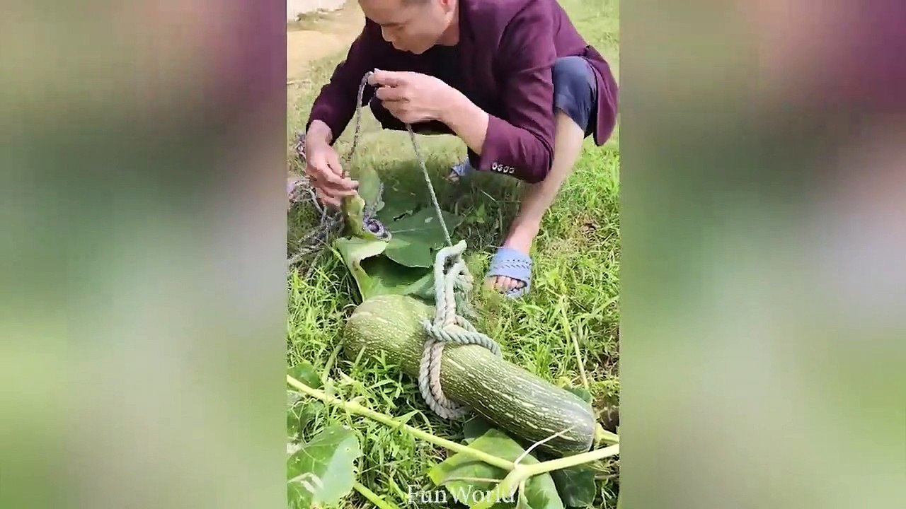 Best funny videos 2023 Cutest People Doing Funny Things #89 - video ...
