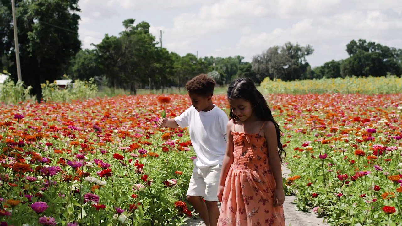 Milo & Hazel - Forever (Official Music Video) - video Dailymotion