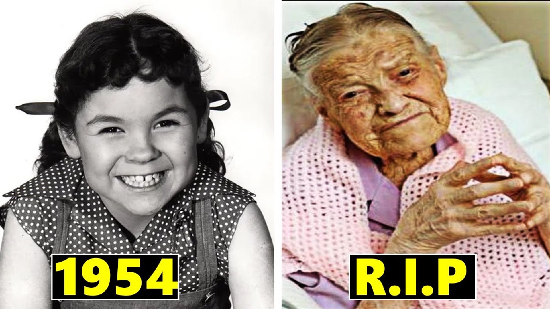 Father Knows Best Cast