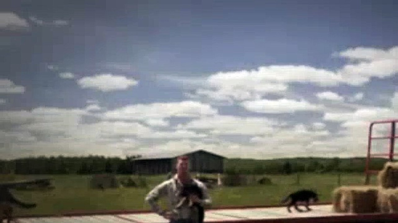 Letterkenny Season 1 Episode 2 Daryl's Super Soft Birthday - video ...