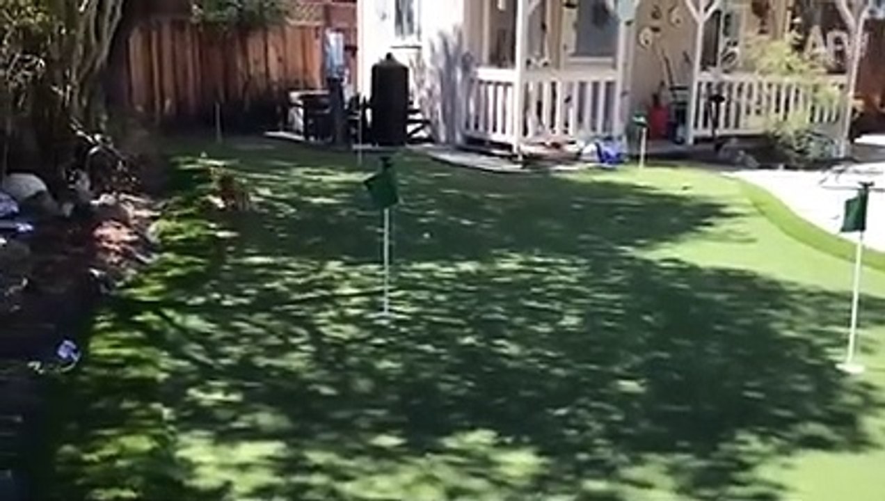 These Funny Cats And Dogs Will Make Your Day!! AFV 2022 - video Dailymotion