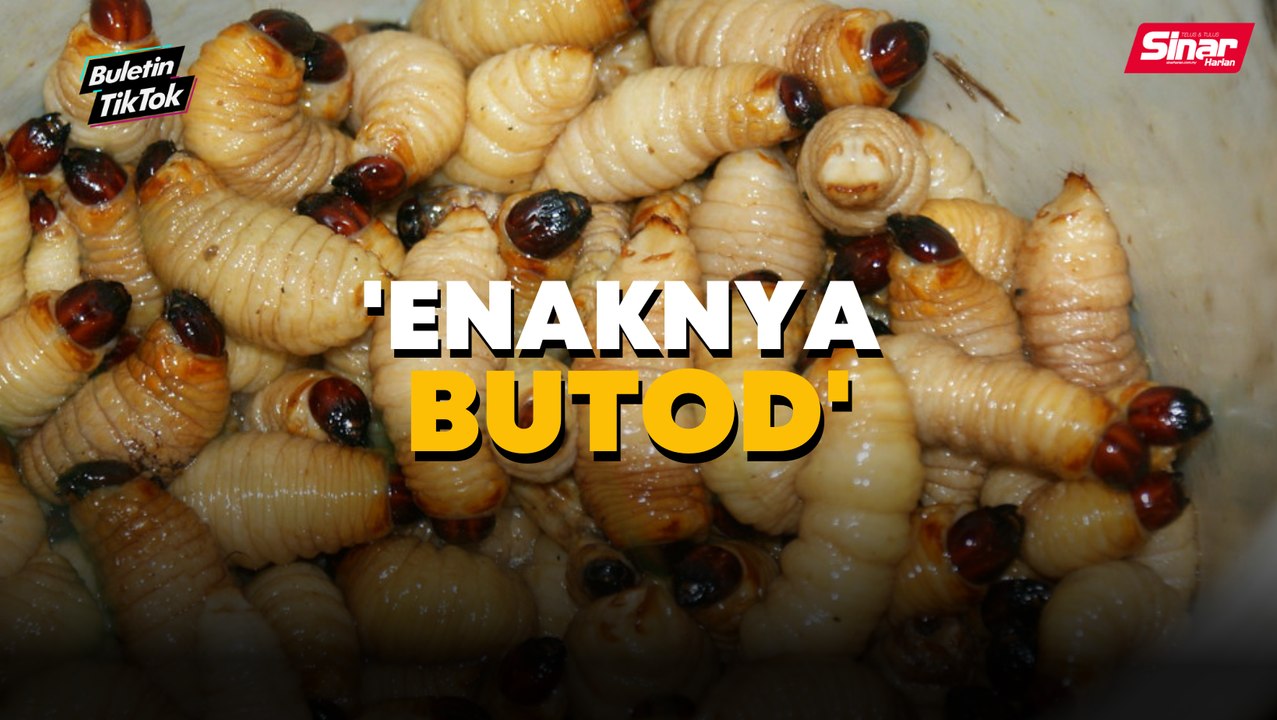 Butod menggelikan tapi enak dimakan - Video Dailymotion