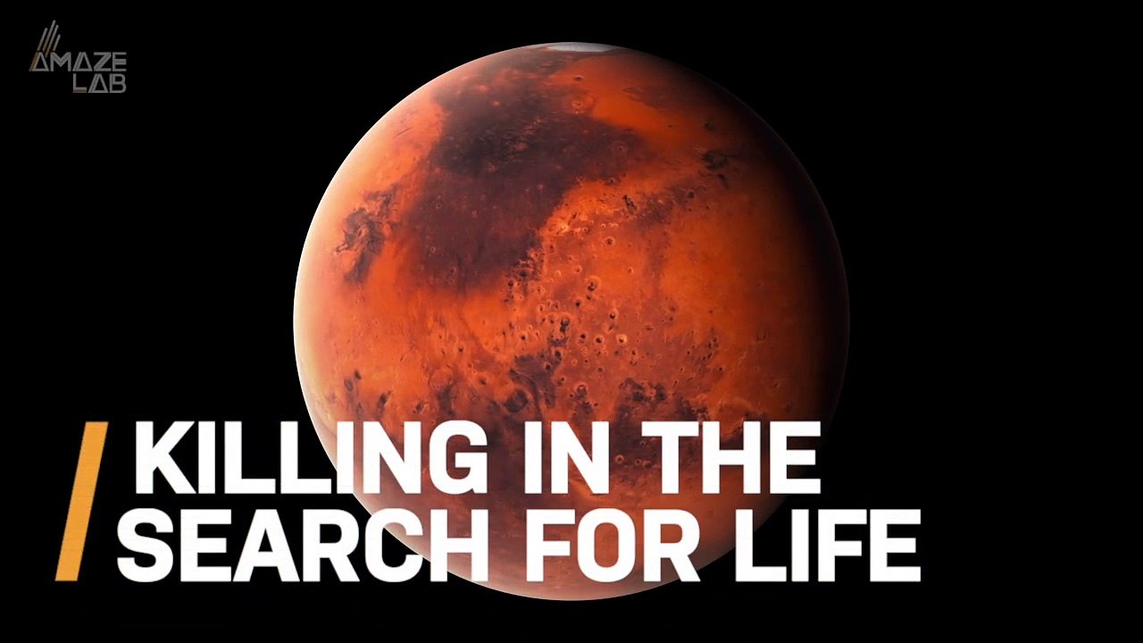 Researchers Say There’s a Chance We Already Found Life On Mars and ...