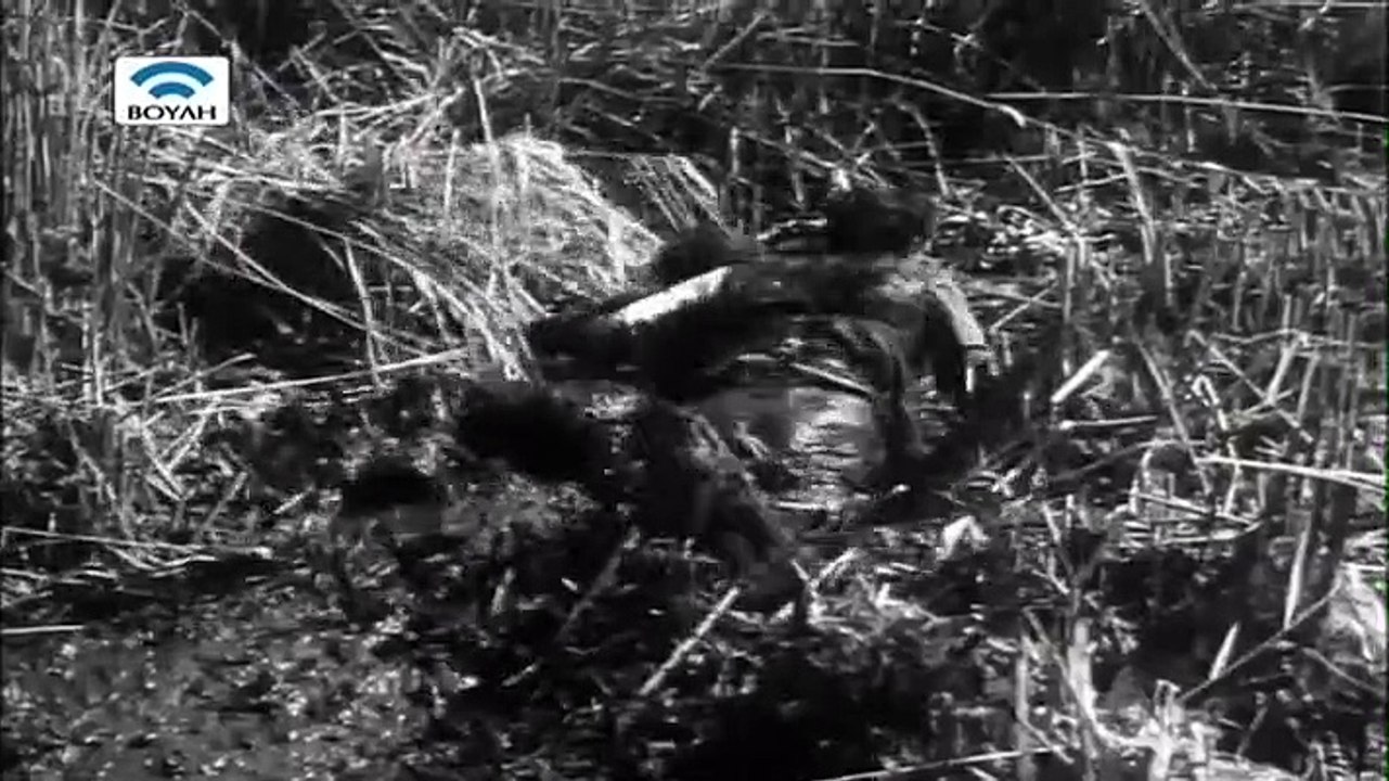 ΤΟ ΠΟΤΑΜΙ - 1960 - TVRip - 712x400 - video Dailymotion