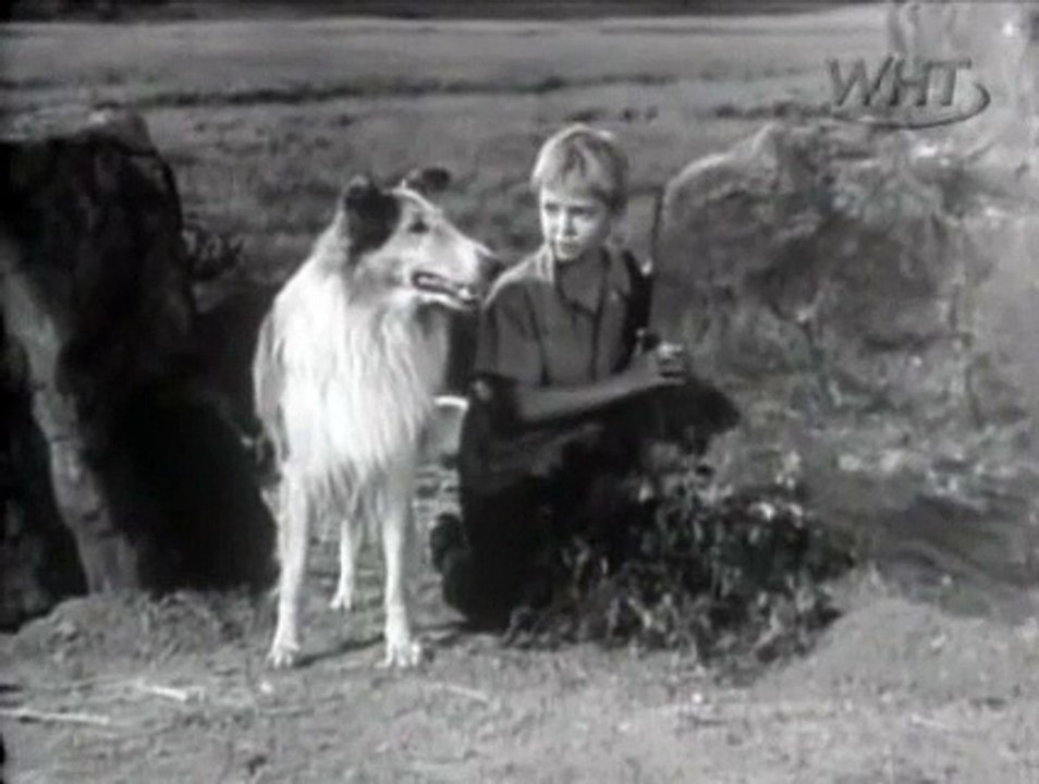 Lassie - S01E24 - Well, The - video Dailymotion