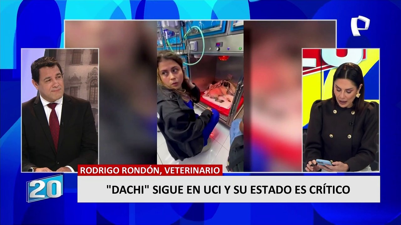 Veterinario Rodrigo Rondón: “Todavía no sabemos si ‘Dachi’ se va a ...