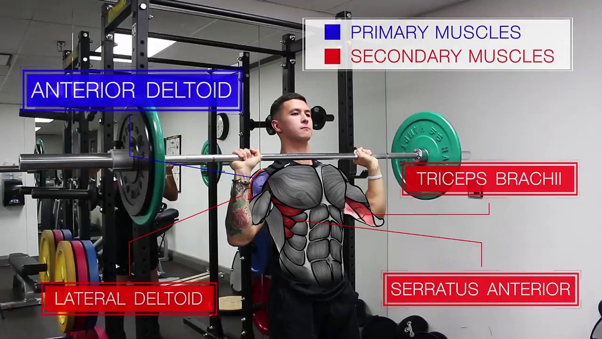 Anterior Deltoid Exercises