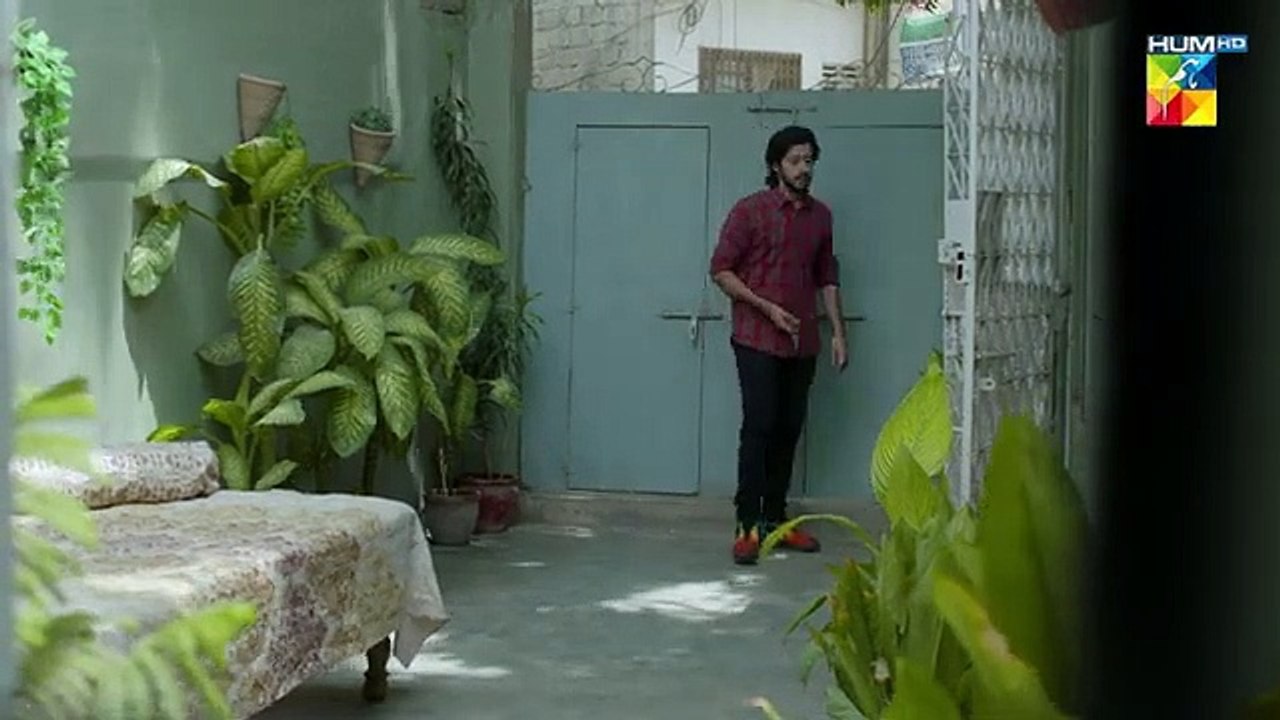 Dil Pe Zakham Khaye Hain Episode 57 1st September 2023 HUM TV - video Dailymotion