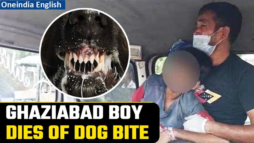 14-Year-Old Boy Dies Of Rabies After Hiding Dog Bite From Parents ...