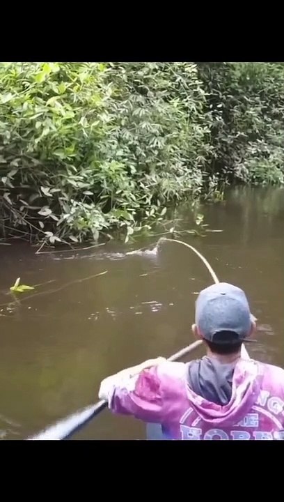 Mancing ikan di sungai - Video Dailymotion