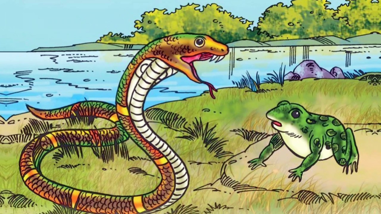मेंढक और सांप // Frog and snake story #Video #story #moralstory - video ...