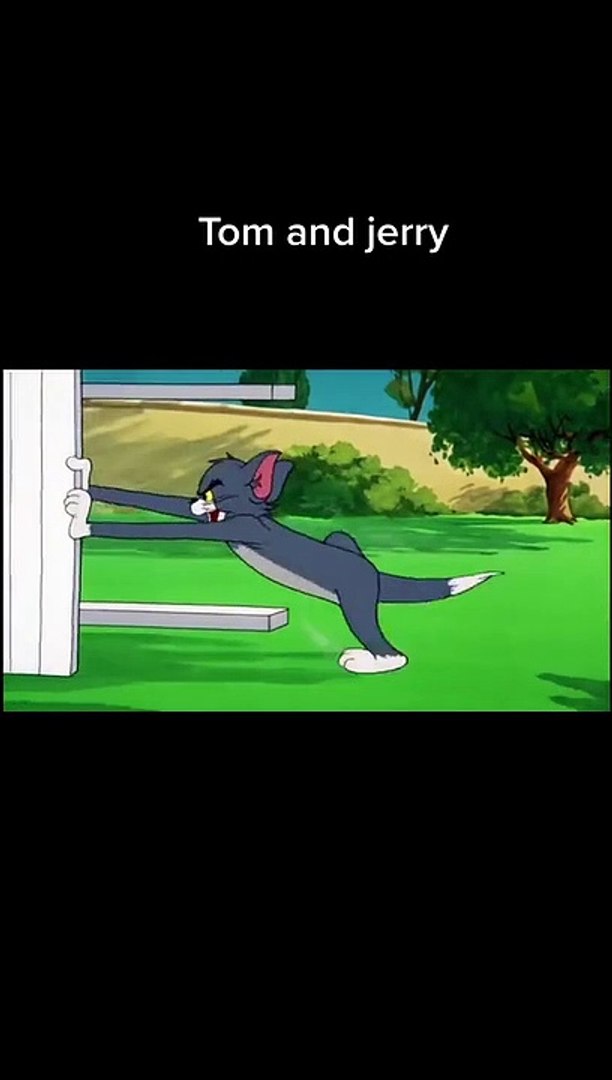 Funny Tom And Jerry Meme