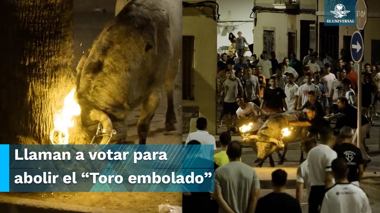 Causan estado de shock a toro durante fiestas valencianas - Vídeo ...