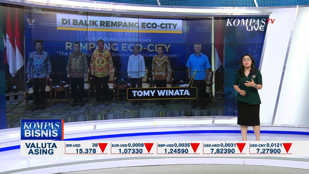 Tomy Winata, Konglomerat di Balik Proyek Rempang Eco City - Video ...
