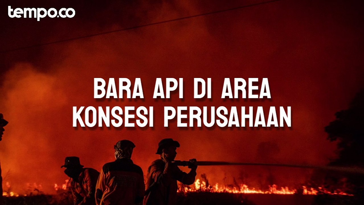 Explain: Bara Api di Area Konsesi Perusahaan - video Dailymotion