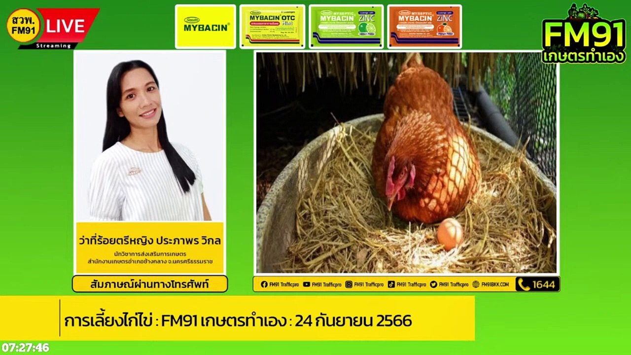 การเลี้ยงไก่ไข่ : FM91 เกษตรทำเอง : 24 กันยายน 2566 - video Dailymotion