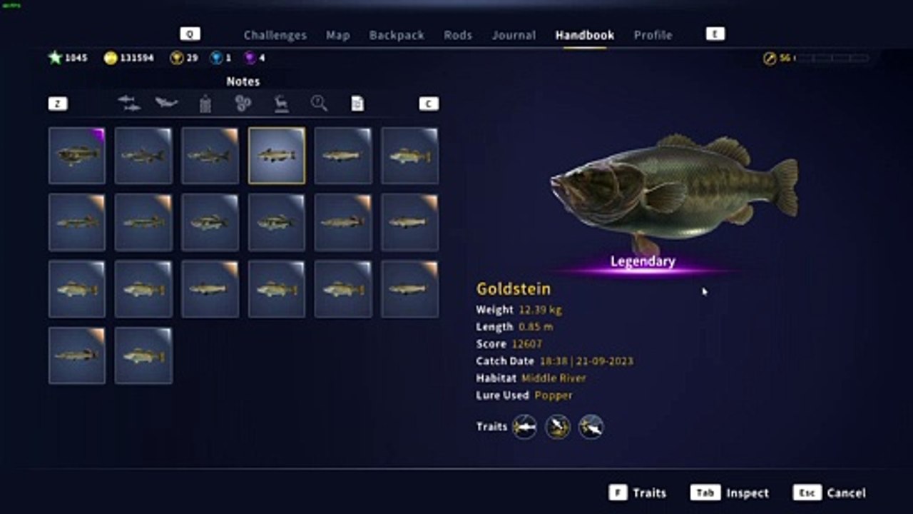 Call Of The Wild The Angler Legendary Fish Goldstein location 21 ...