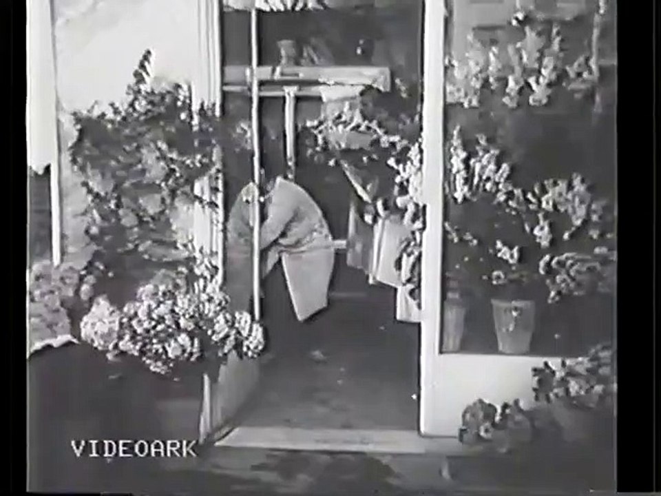 ΣΑΝ ΘΕΛΕΙ Η ΝΥΦΗ ΚΙ Ο ΓΑΜΠΡΟΣ - 1959 - VHSRip - 720x536 - video Dailymotion