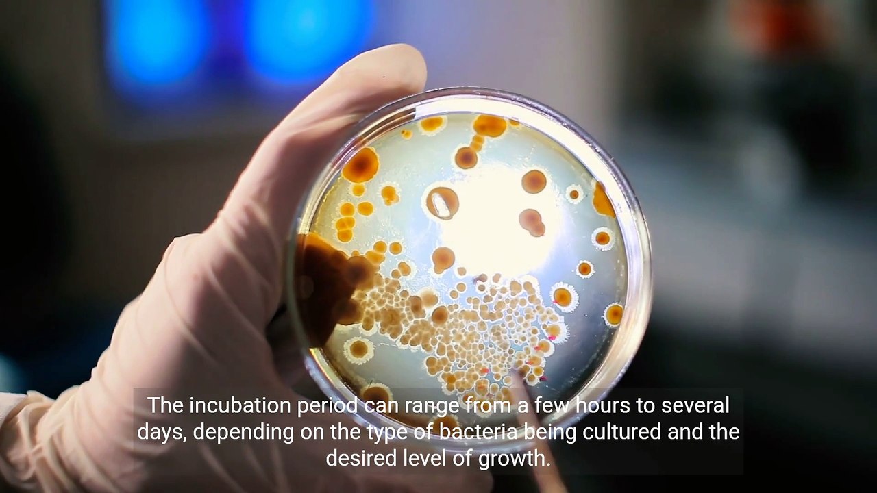 Exploring Microbial Culturing - A Key Tool in Microbiology - video ...