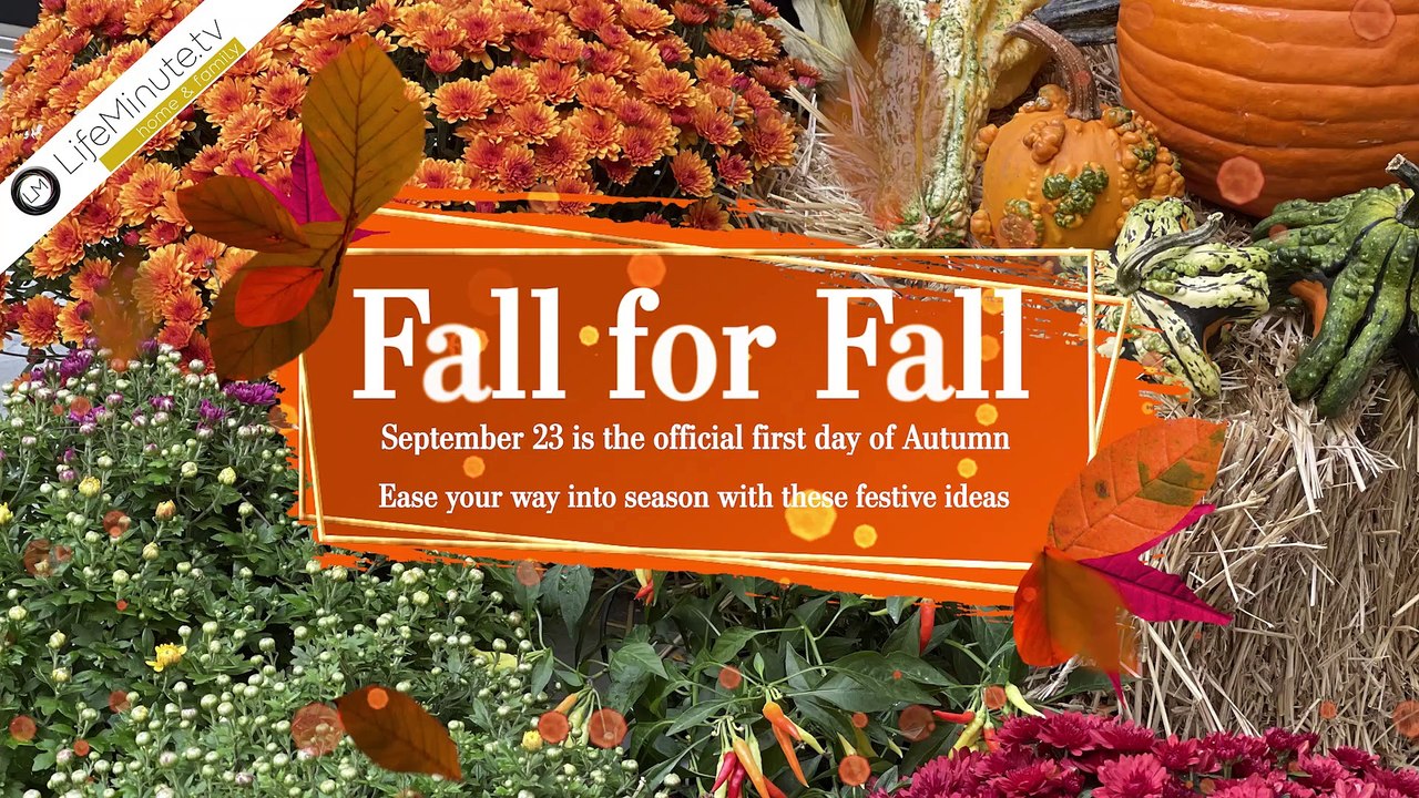 Fall for Fall - video Dailymotion
