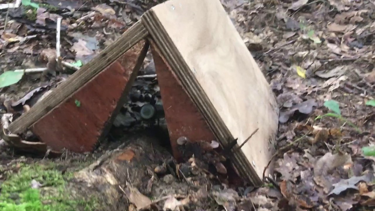 Covers for TOMST dendrometers in roots and stems. - Vídeo Dailymotion