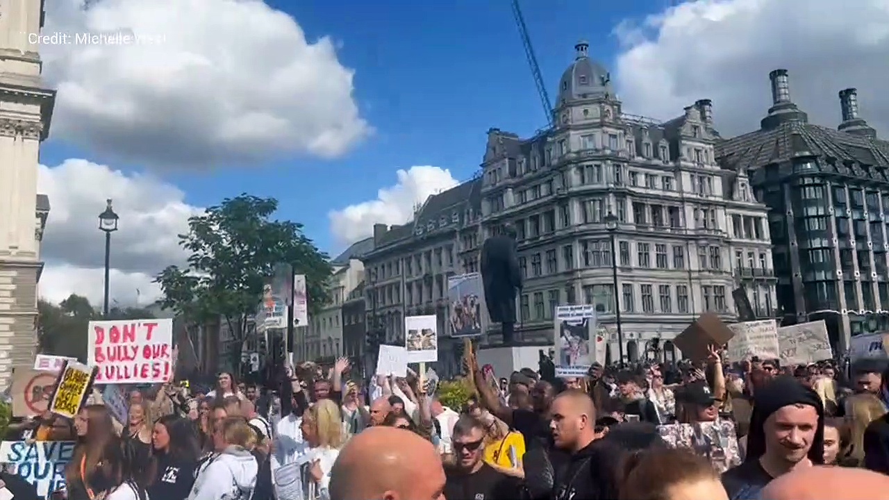 XL Bully Rally in London