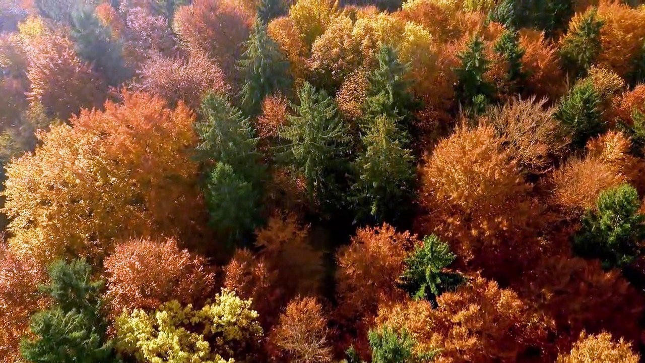 Peder B. Helland - Thoughtful - video Dailymotion