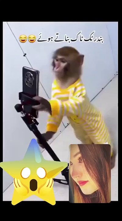 Monkey making tick tock - video Dailymotion