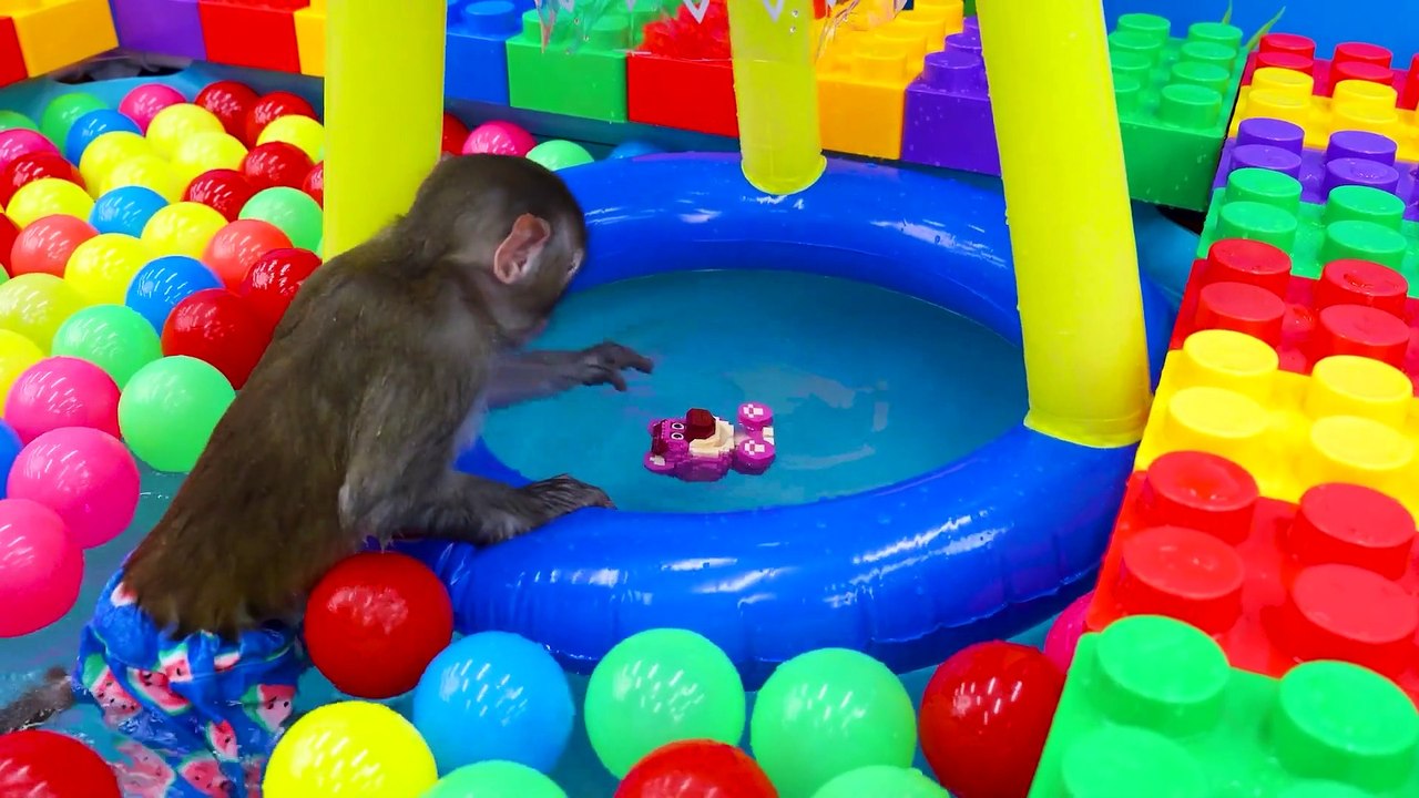 KiKi Monkey try to get BlackPink Ice Cream from Vending Machine _ KUDO ...