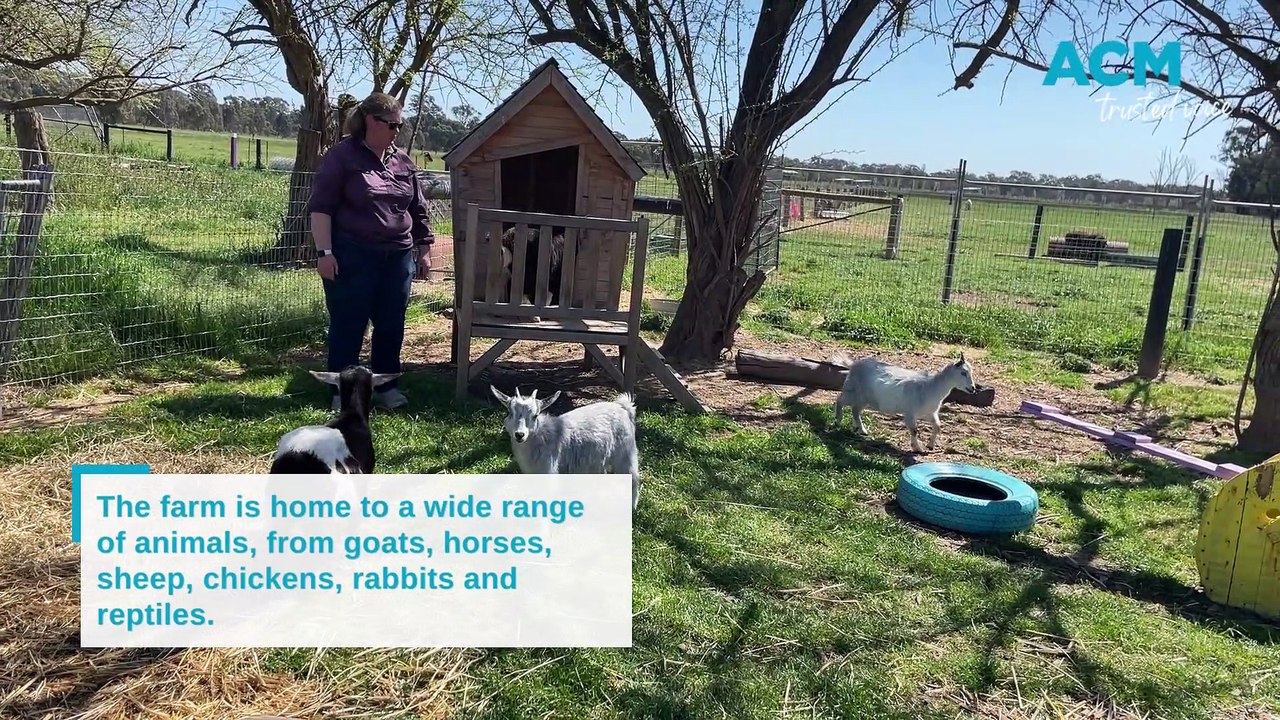 Flash Farm at Myers Flat provides a different approach to therapy ...