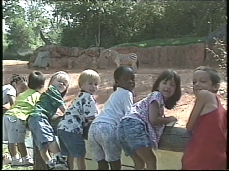 Baby's First Impressions - Animals (1997 VHS) - video Dailymotion