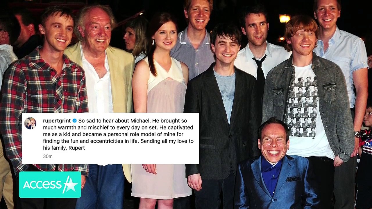 ‘Harry Potter’ Star Sir Michael Gambon Who Played Dumbledore Dead at 82 ...