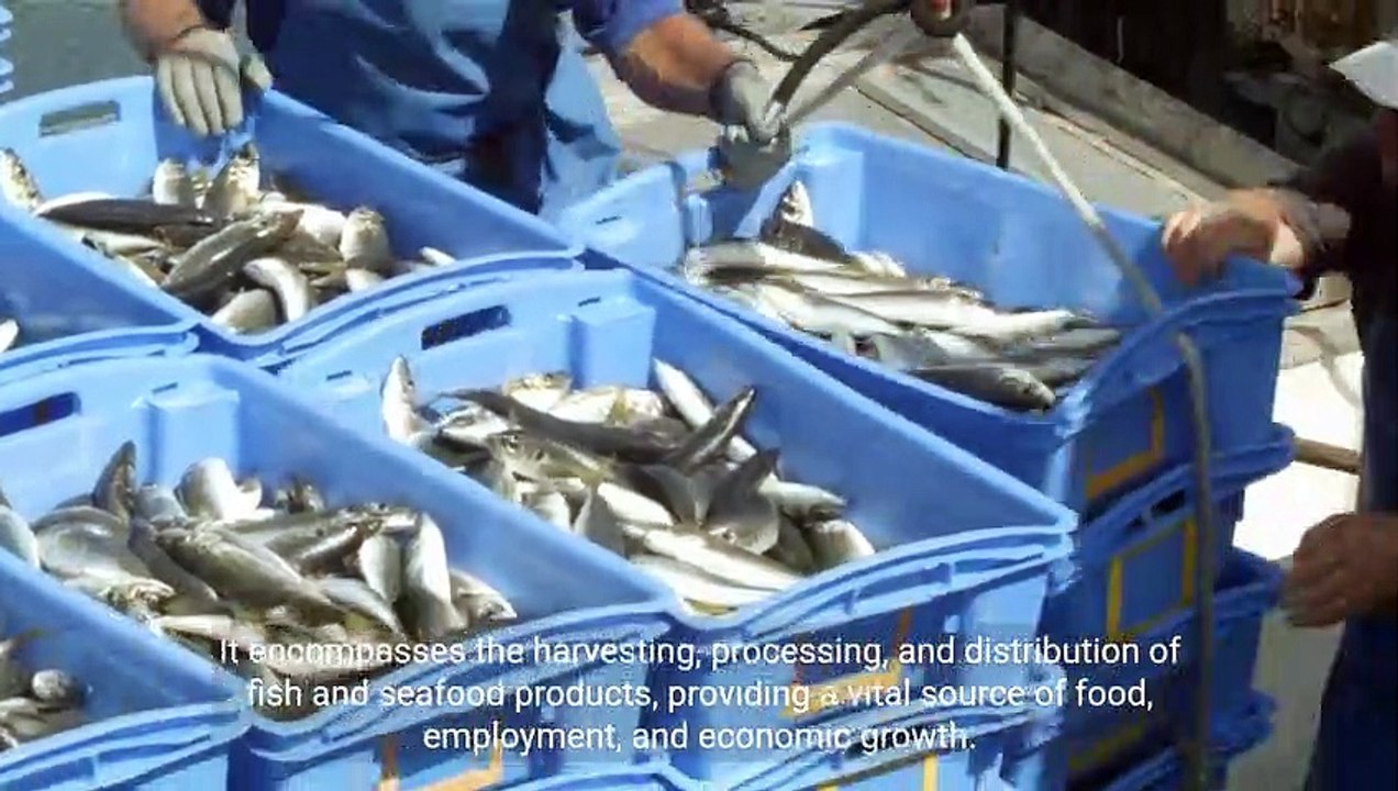 The Importance of the Fishery Industry for Global Food Security and ...