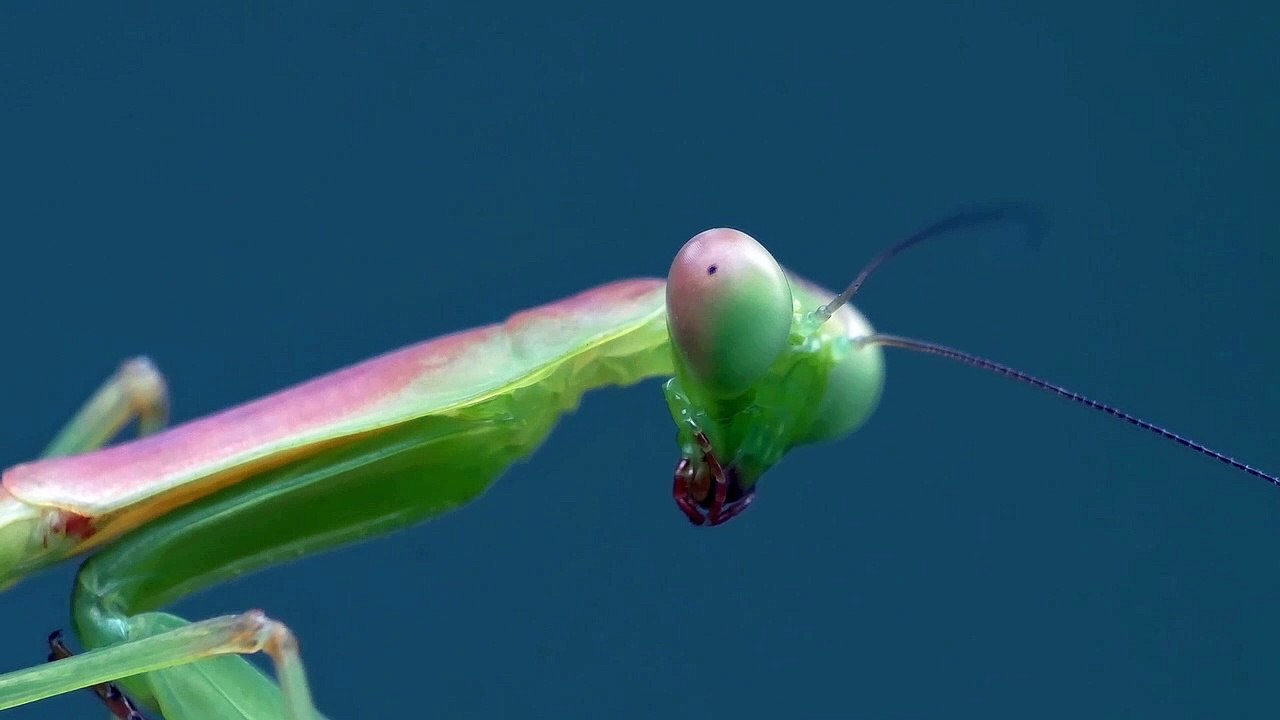 Cynical look - video Dailymotion