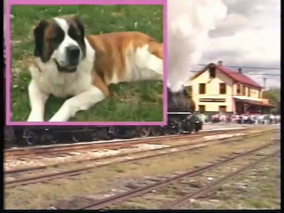 Bee Smart Baby - Baby Bumblebee - Vocabulary Builder Volume 1 (1999 ...