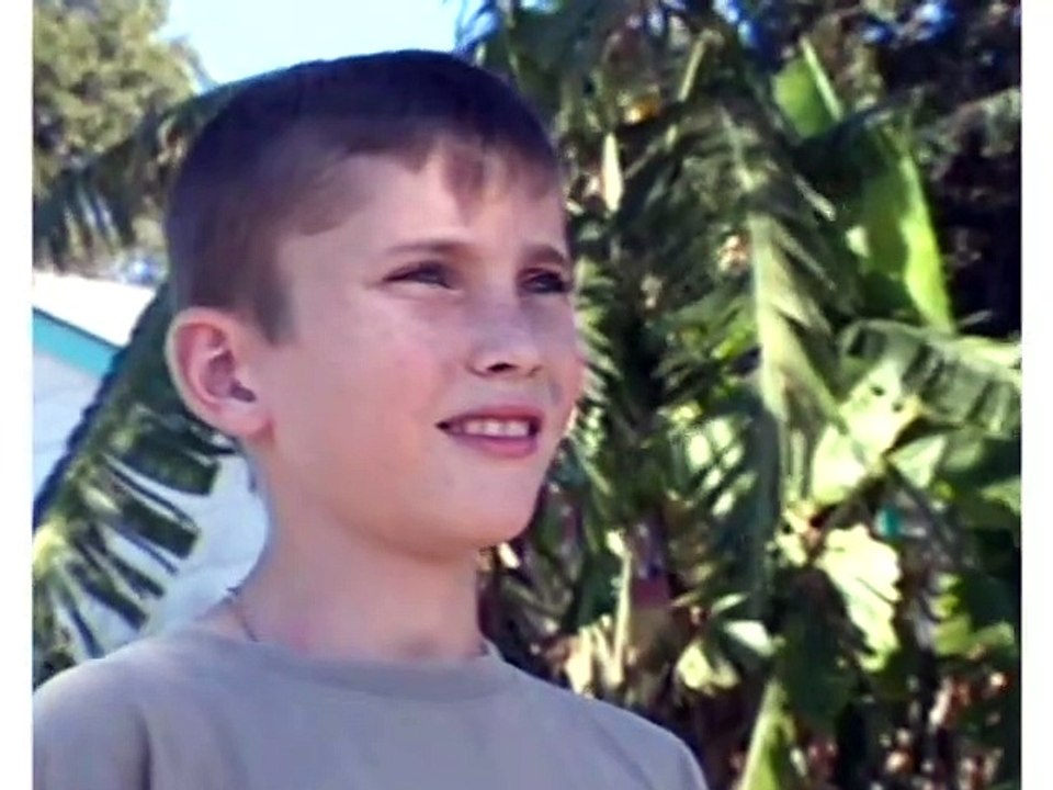 Bee Smart Baby - Baby Bumblebee - Vocabulary Builder Volume 4 (2000 ...