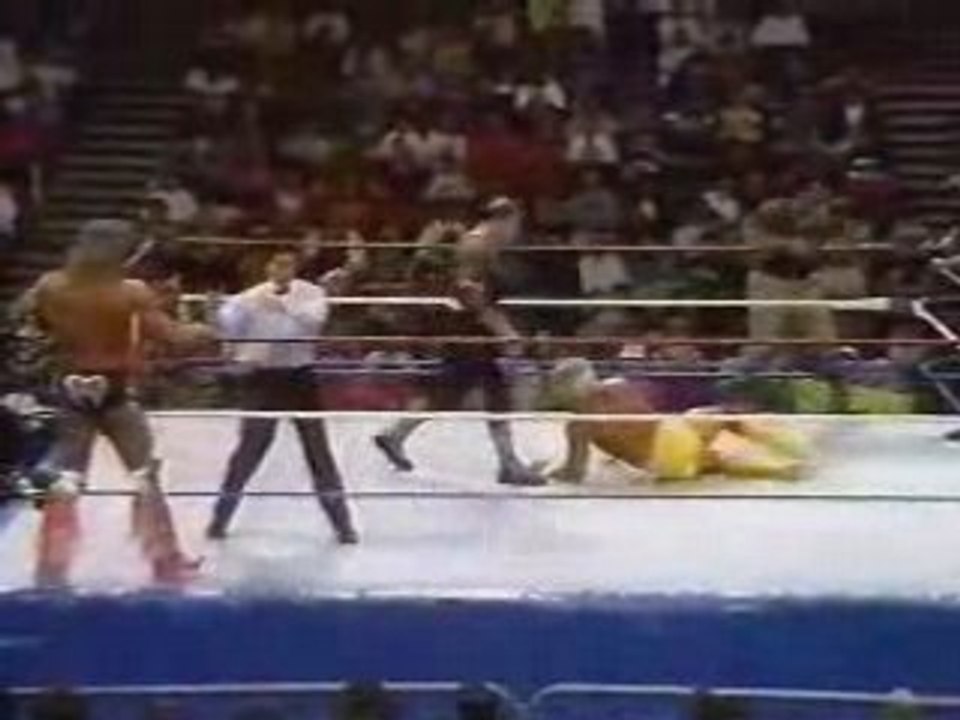 Hulk Hogan & Ultimate Warrior Vs Undertaker & Sgt. Slaughter - video ...