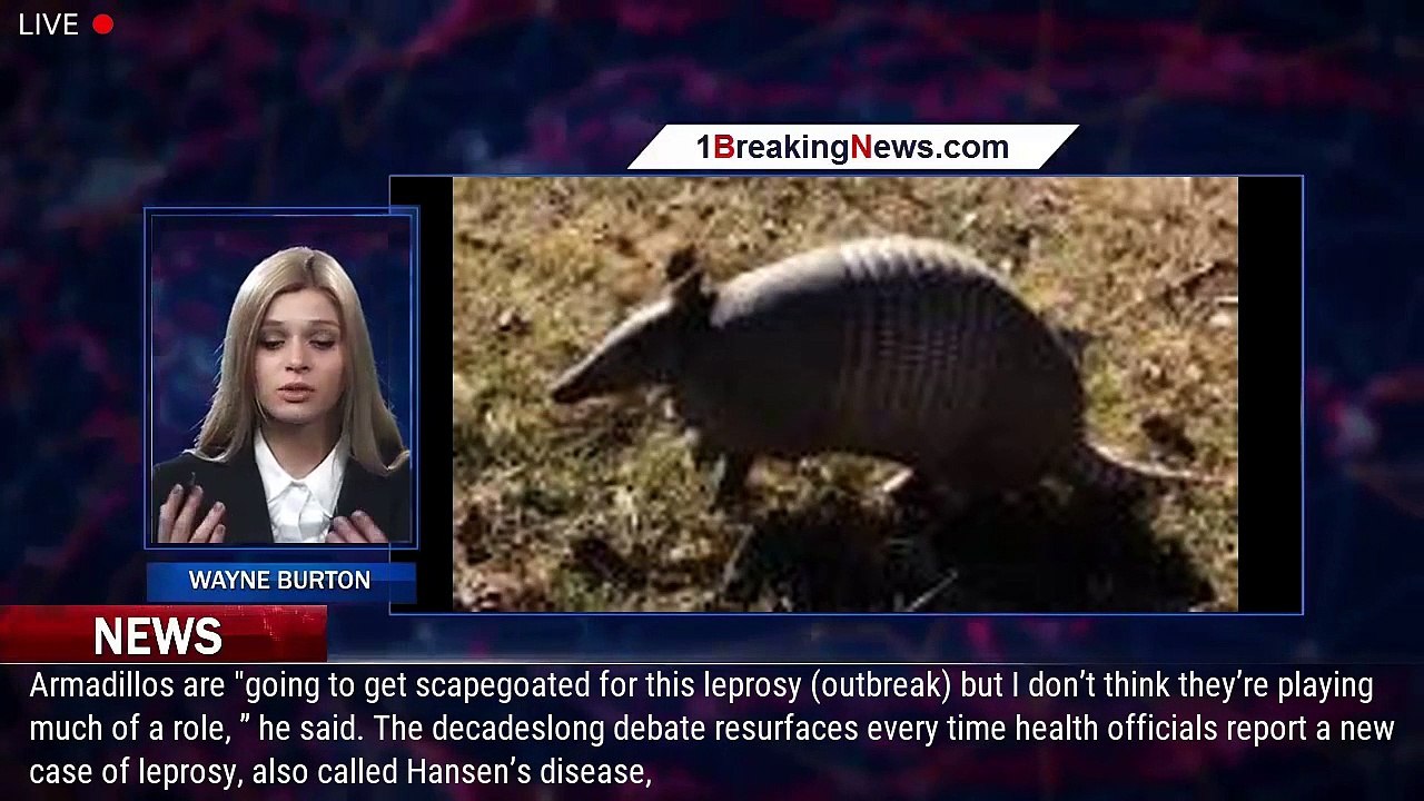 Leprosy in the US: Are armadillos playing a role? Experts explain. - 1breakingnews.com - video ...