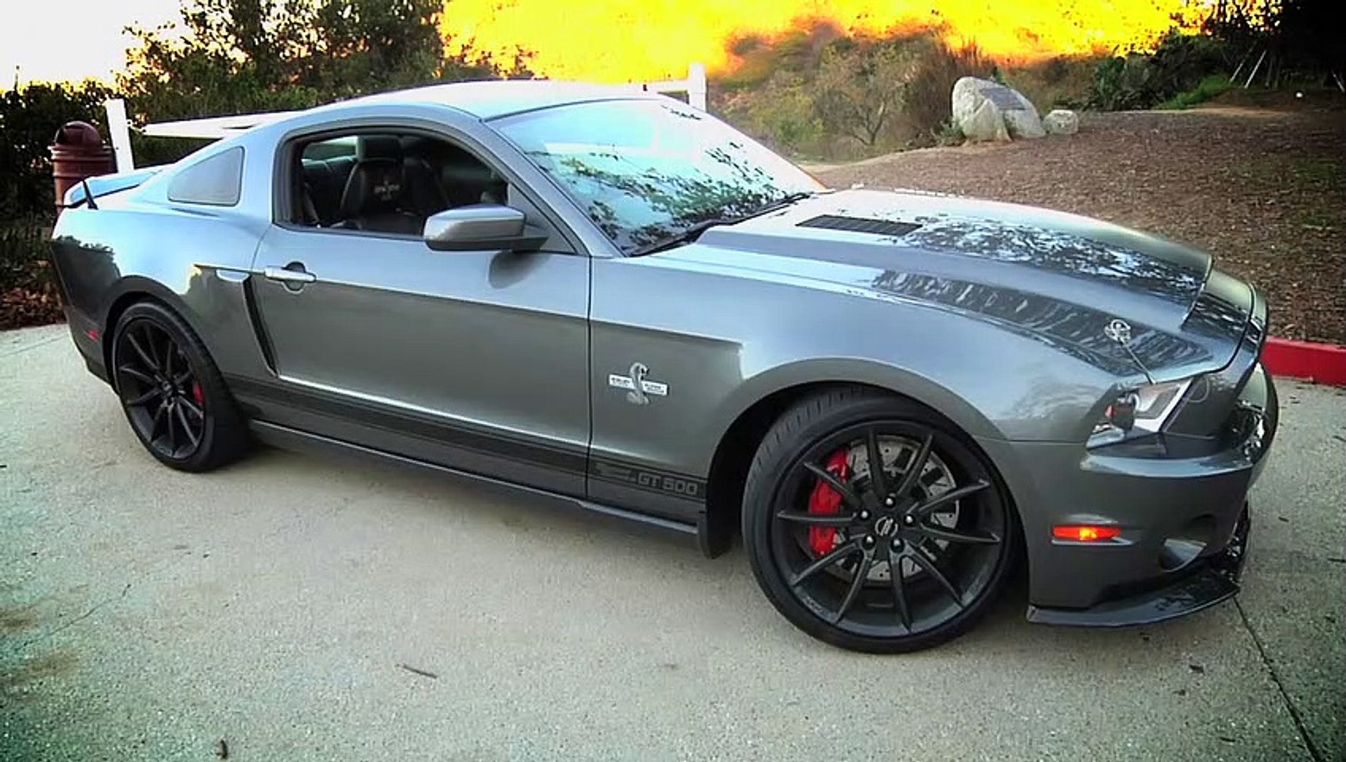 Ford Mustang Cobra 2011