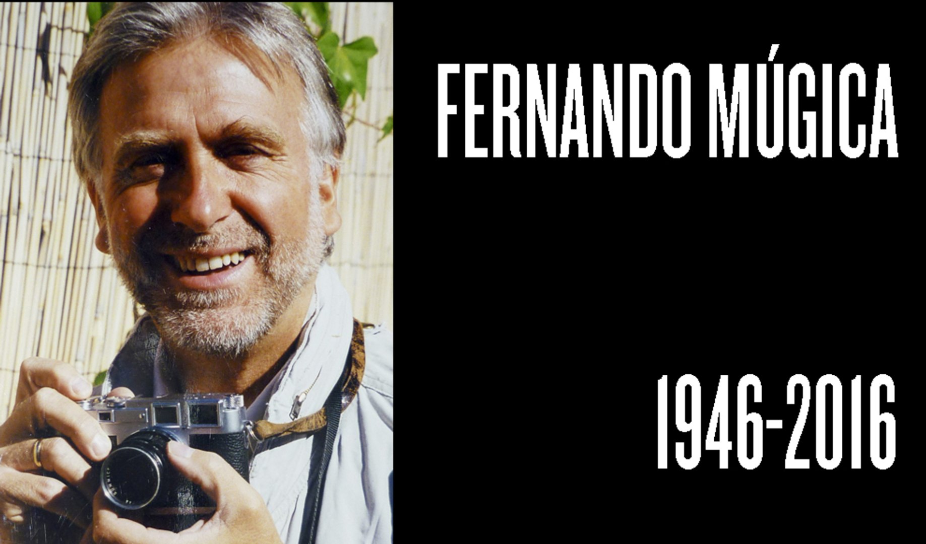 Últimos vídeos sobre Papel - Página 6 | EL MUNDO