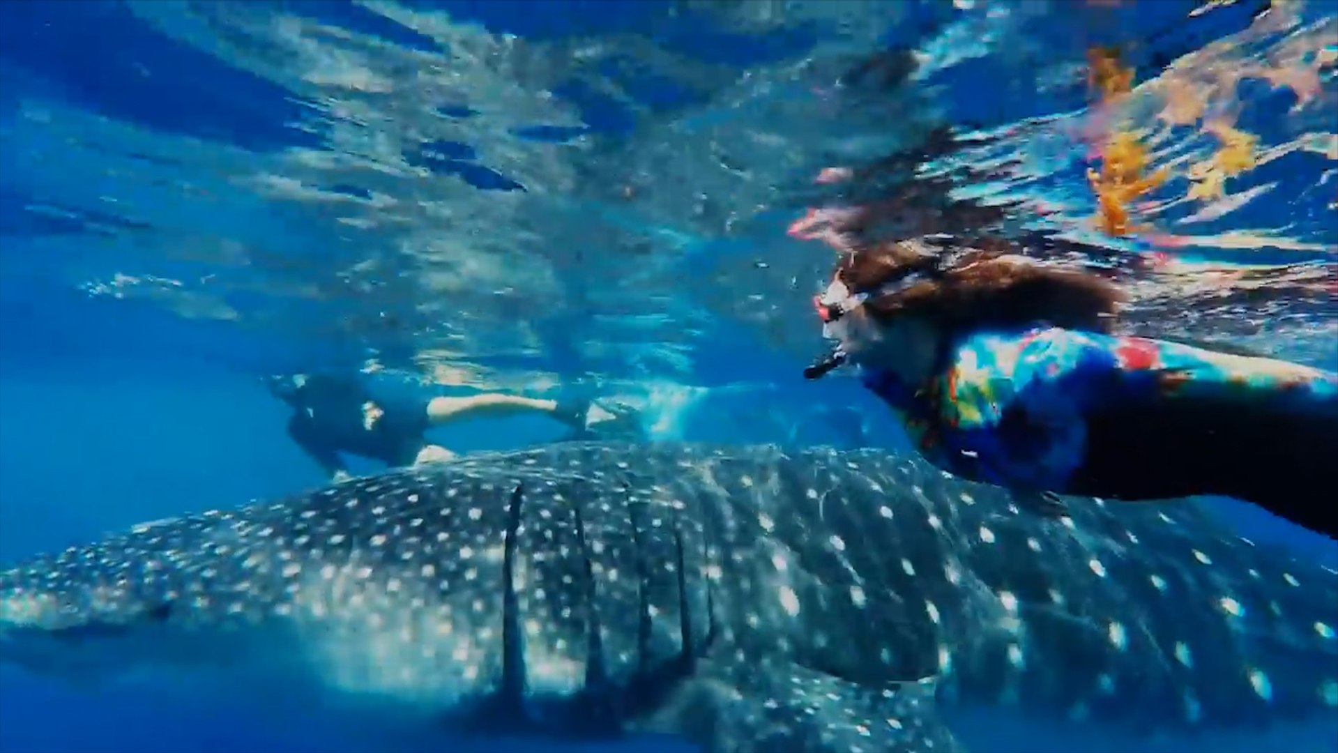 Ciencia - Noticias de ciencia - Página 93 | EL MUNDO